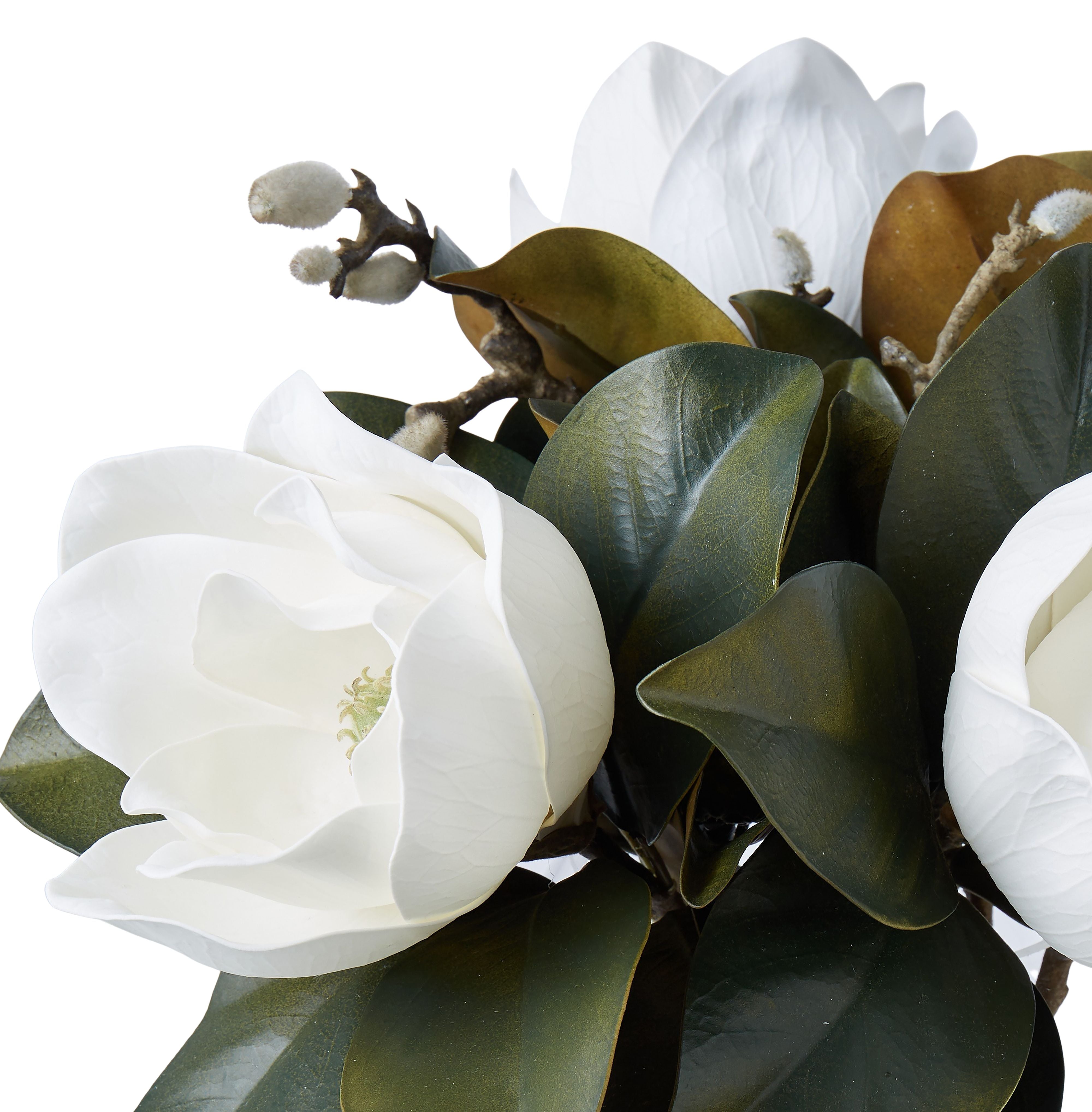 Buy Magnolia Grandiflora Garden Vase in White in Perth, Osborne Park ...