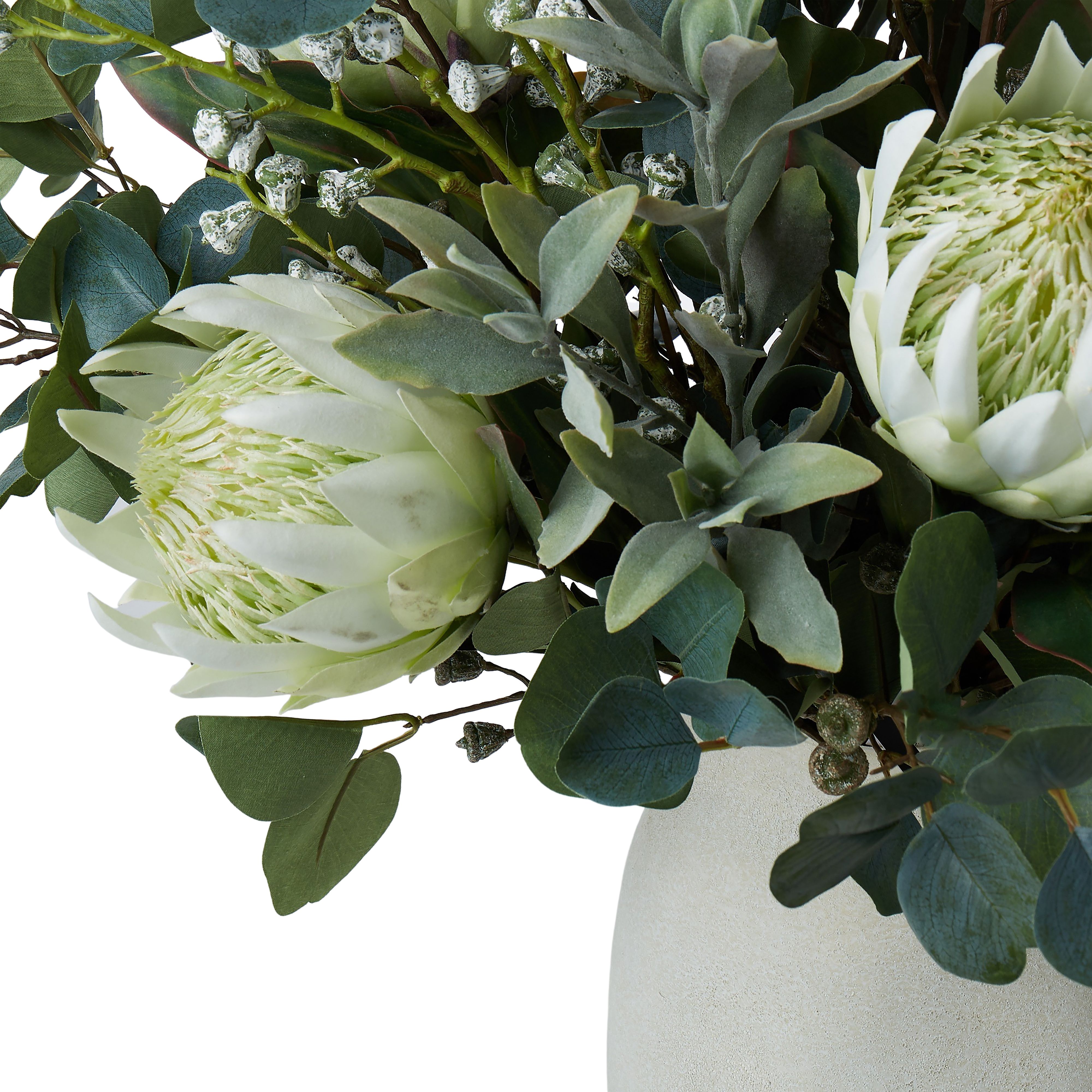 Buy King Protea Native Mix in Maliah Pot in Perth, Osborne Park, and ...
