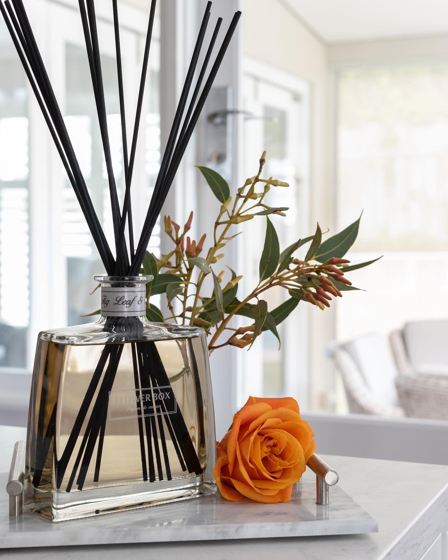 Buy Hallmark Diffuser - Fig Leaf & Cedar in Perth, Osborne Park, and Joondalup WA – The ...