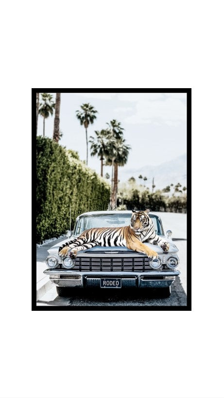Buy this Cool Rodeo Tiger Frame in Perth, Osborne Park, & Joondalup ...